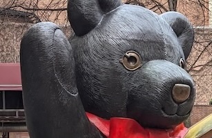 Find the bear | Ned Batchelder